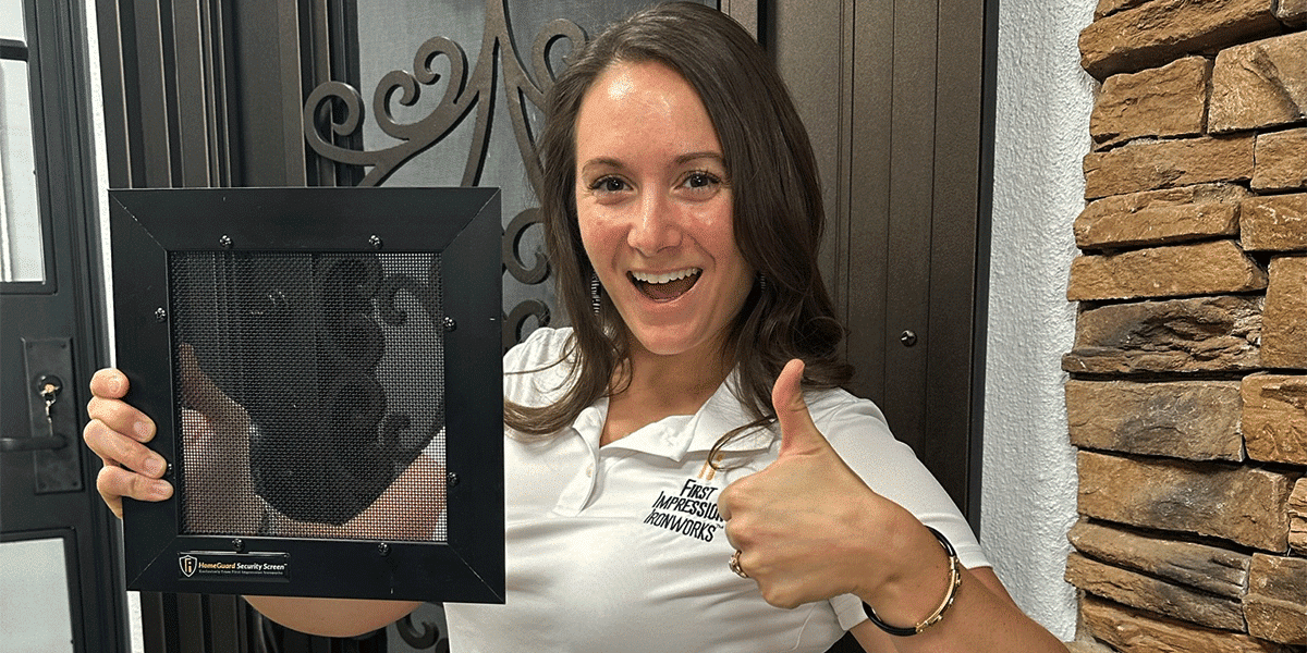 Welcome to The Future of Home Security: HomeGuard Security Screens